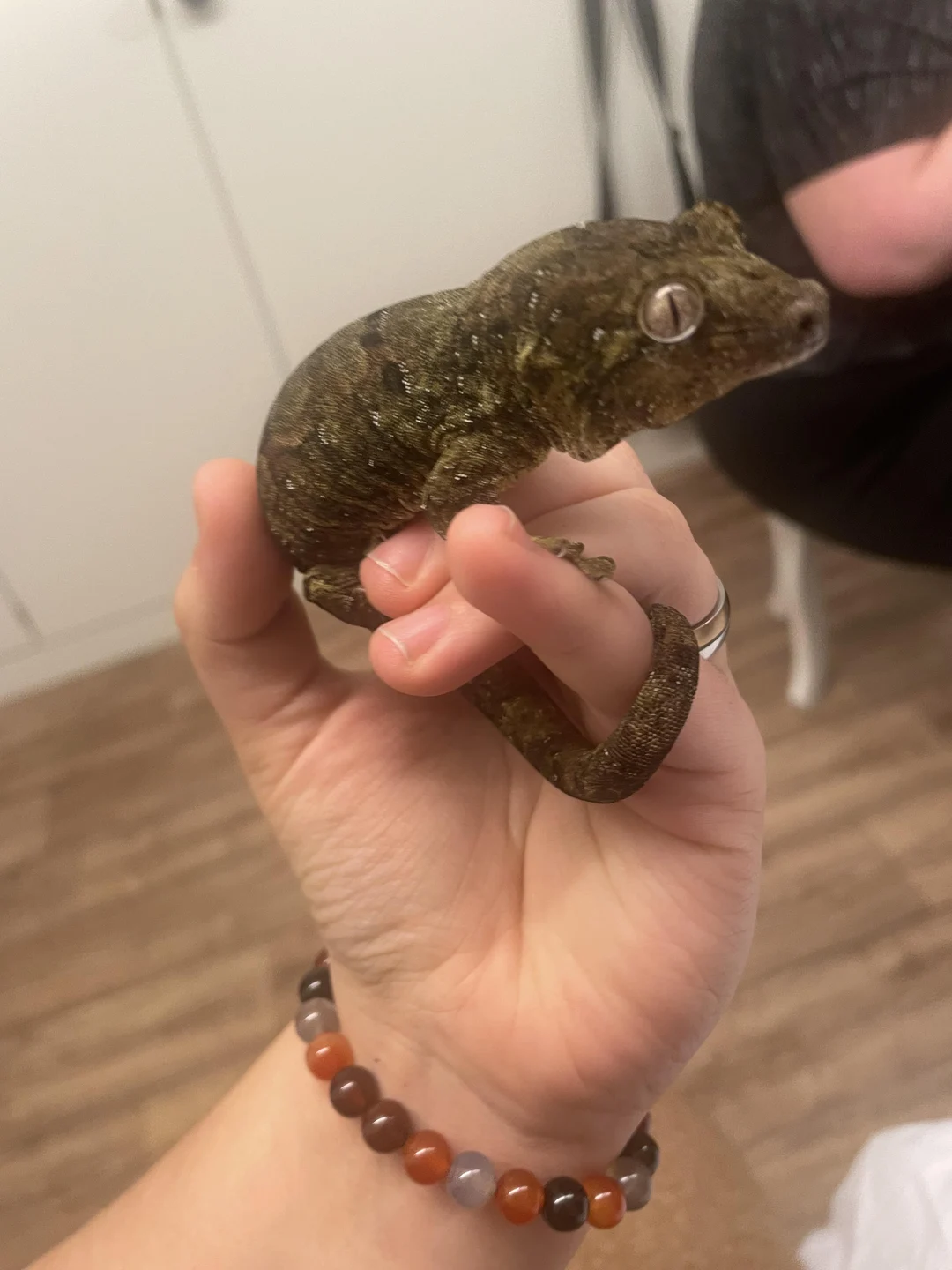 musco climbing | Scrolller