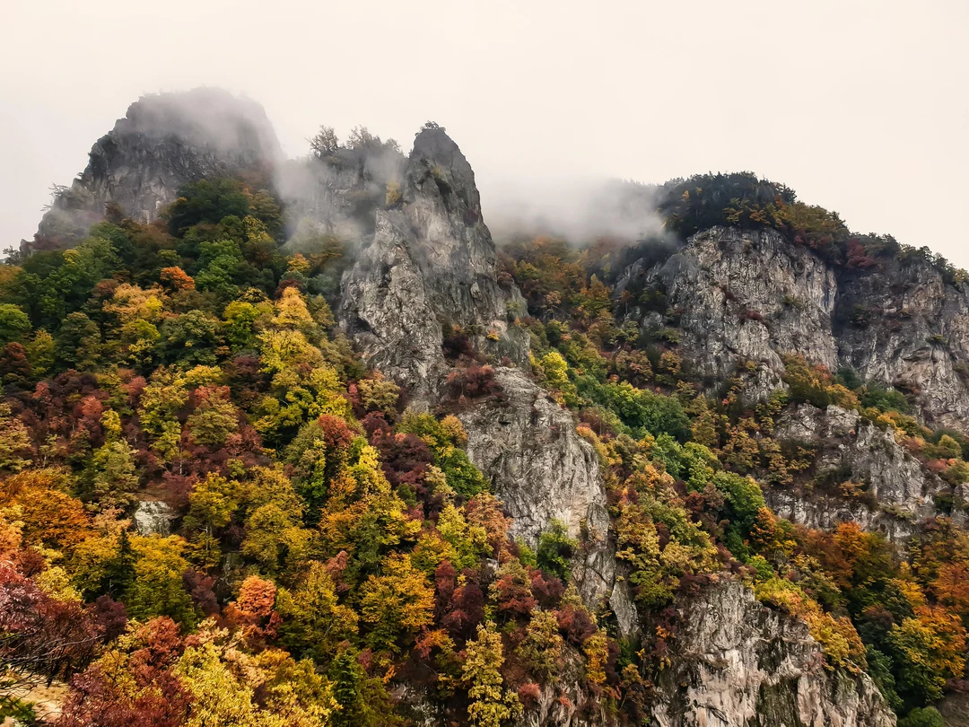 Cozia National Park, VL, Romania [OC] (4032x3024) | Scrolller