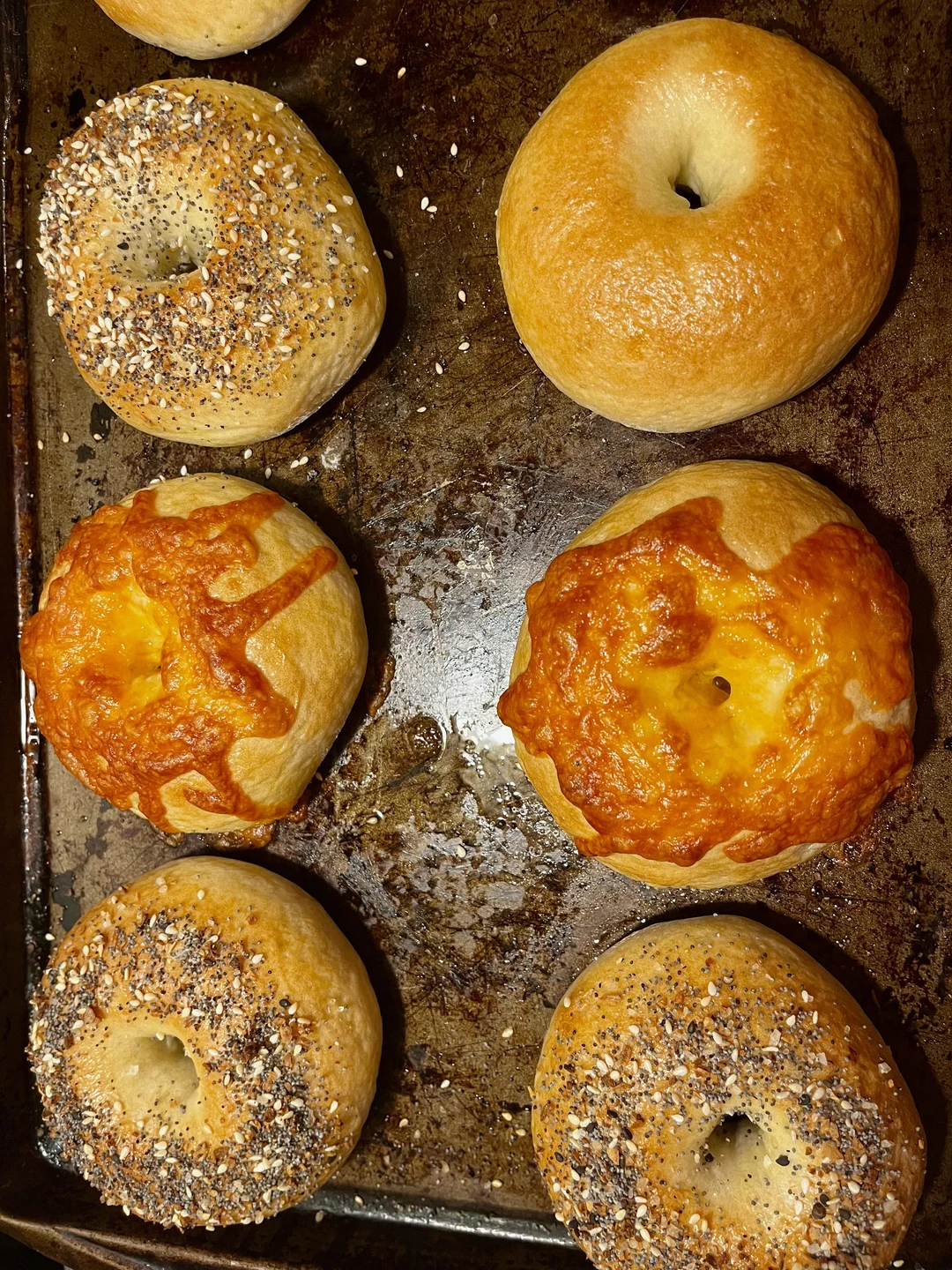 Discover more like Breadit: Bagels and Related Content | Scrolller