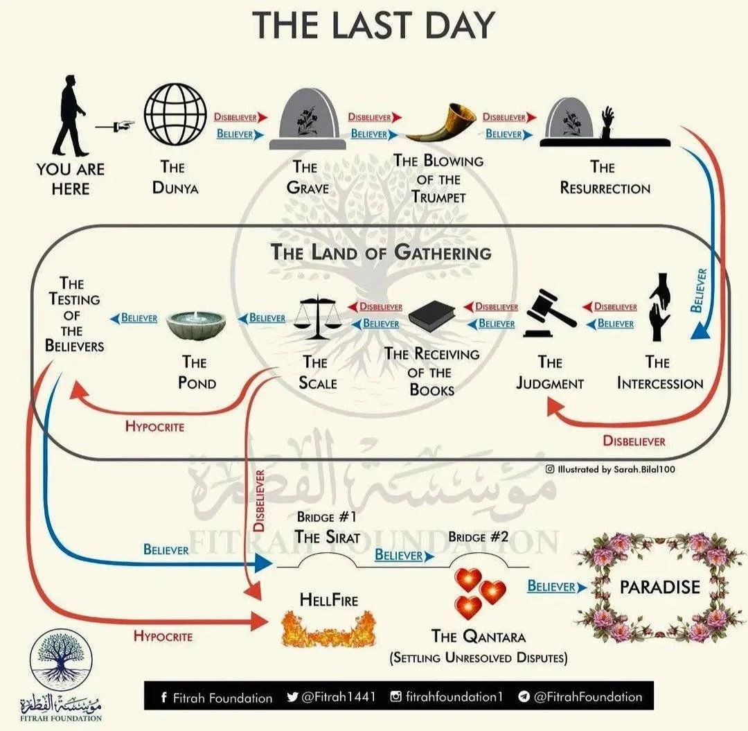 Is everything here authentic? | Scrolller