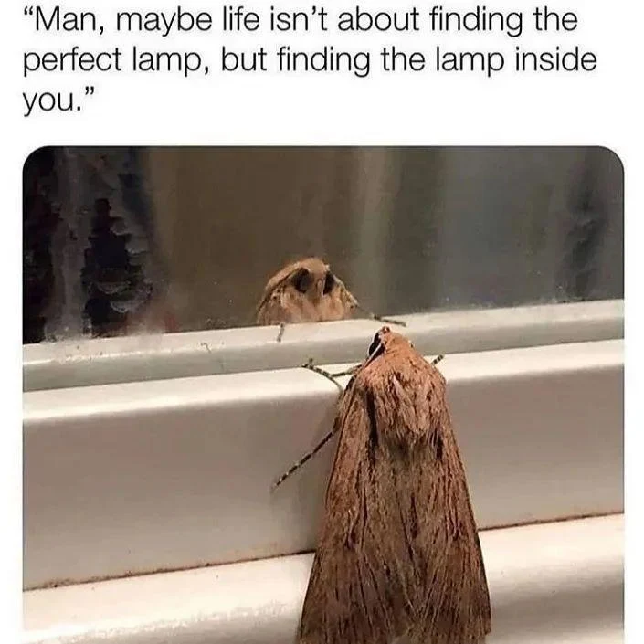 me having existential crisis | Scrolller