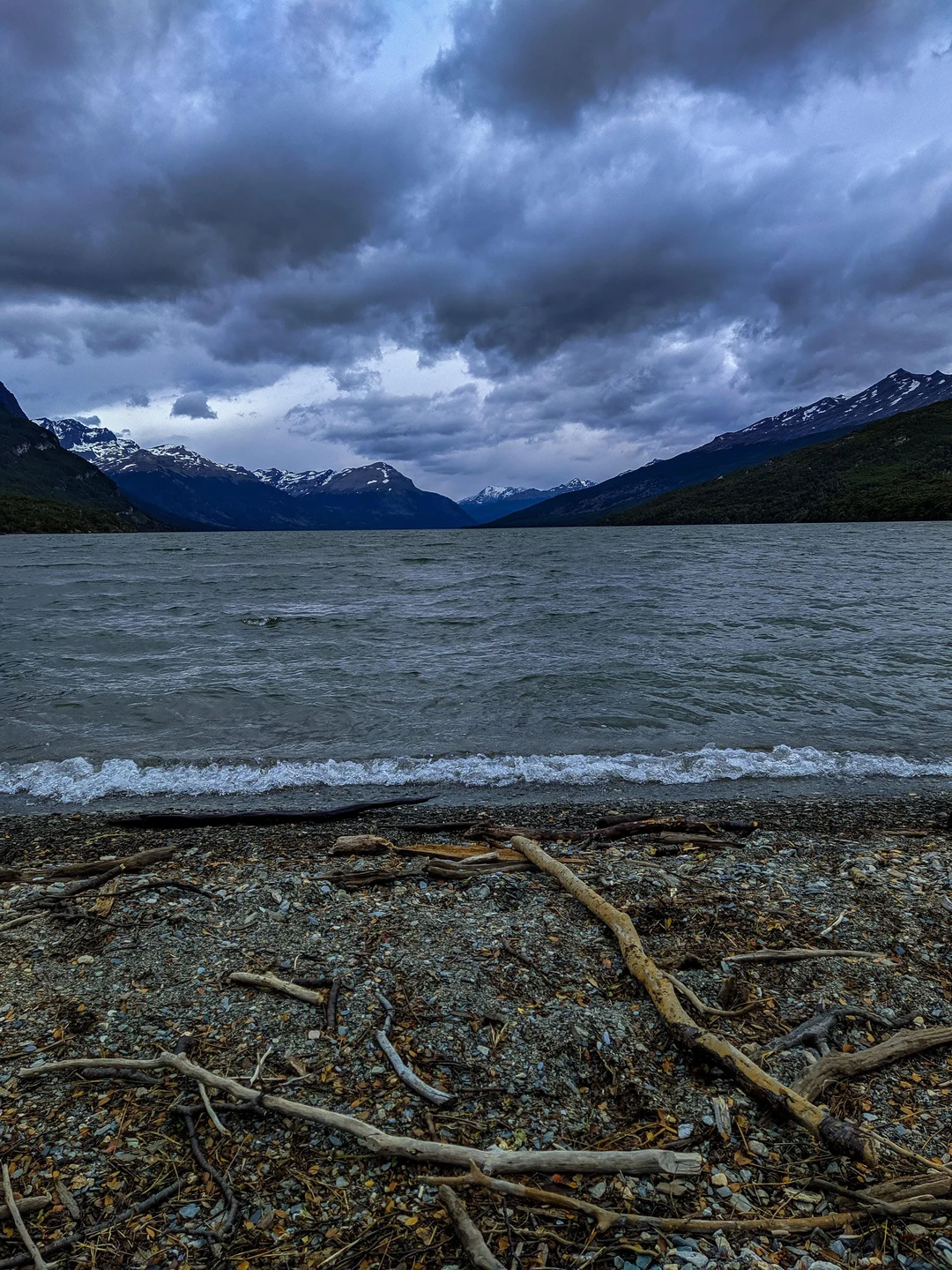 Cloudy afternoon in Lapataia Bay, Tierra del Fuego, Argentina [OC] [2998×3998] | Scrolller