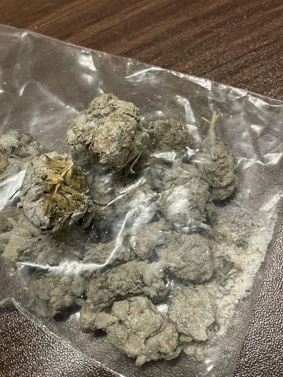 Is this mold or something else? | Scrolller