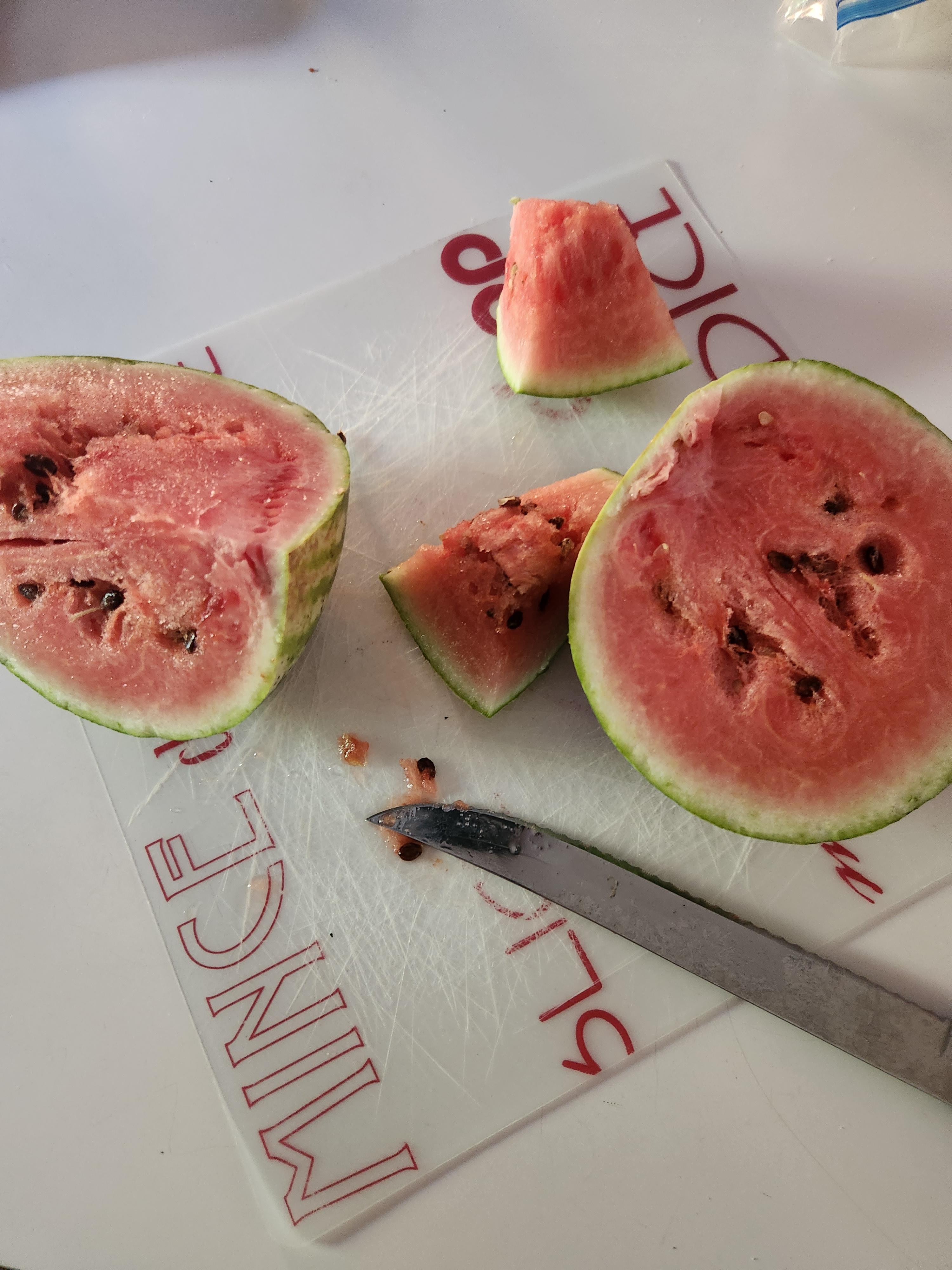 My very first watermelon! | Scrolller