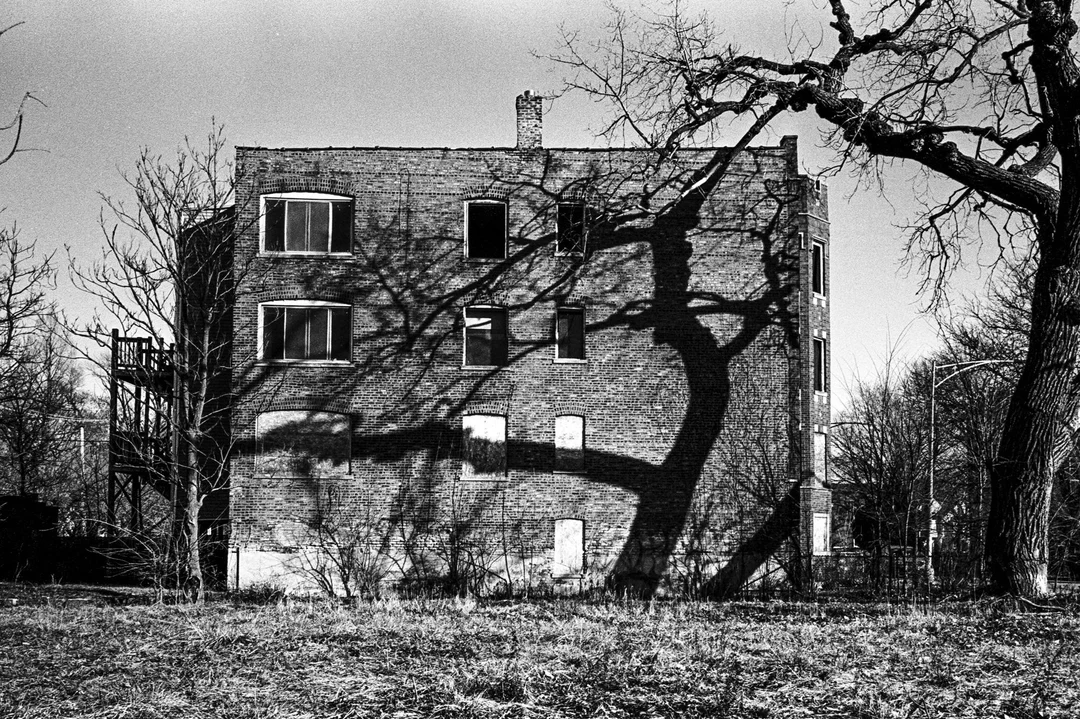 Shadow of a dead tree on an abandoned building. | Scrolller