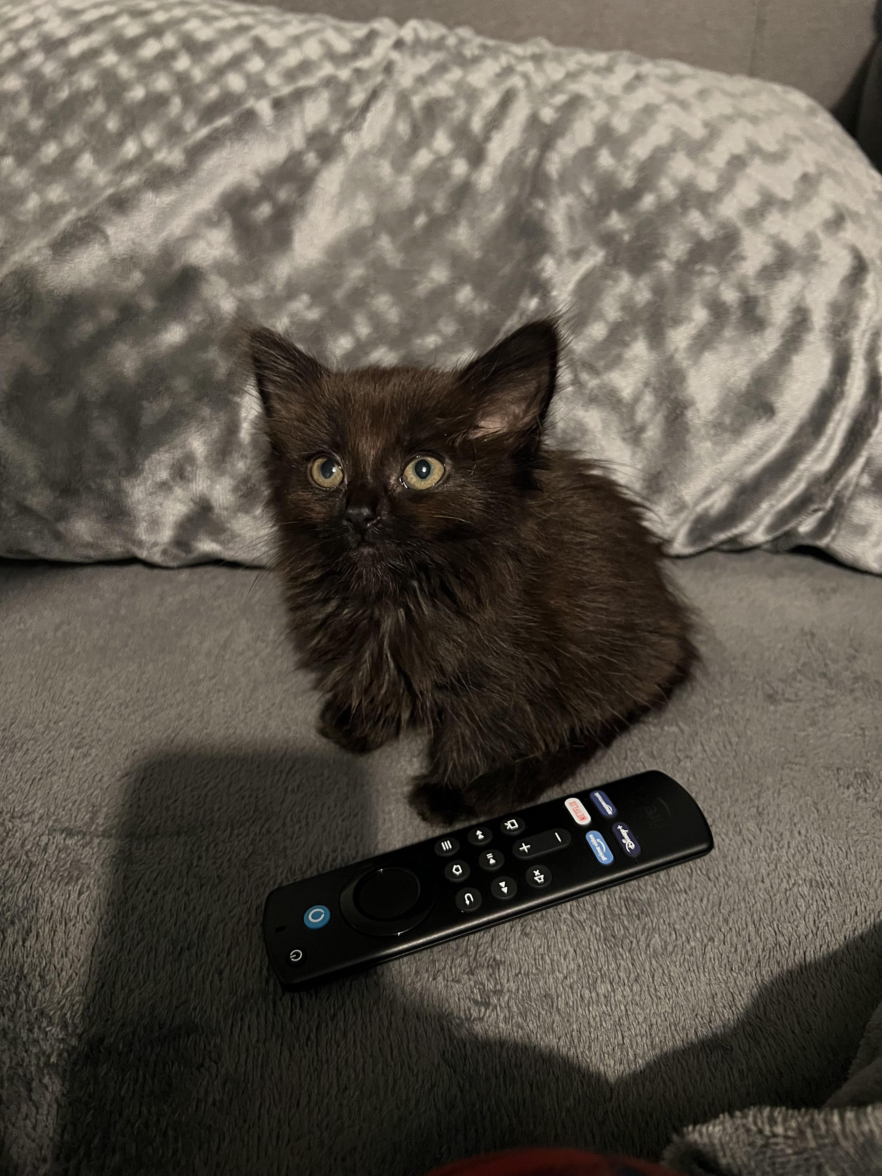 Firestick remote for scale! | Scrolller