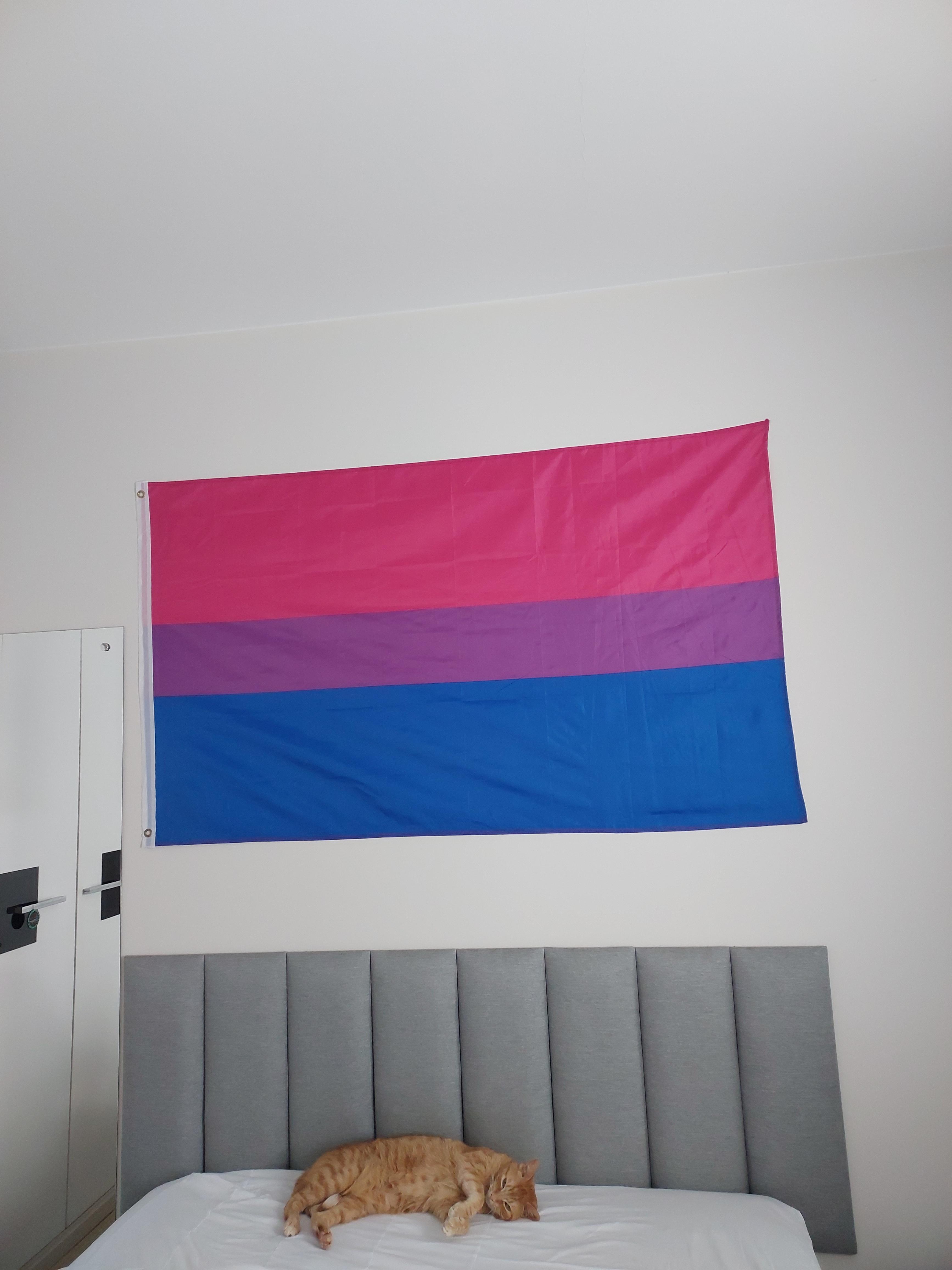 I finally hang up my pride flag | Scrolller