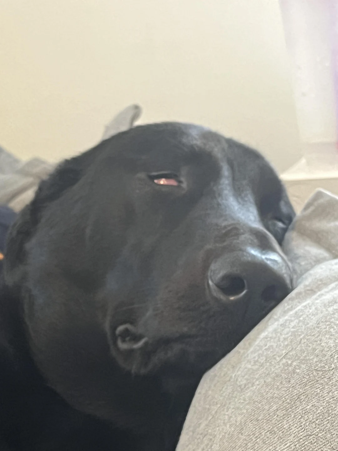 Creepy sleepin | Scrolller