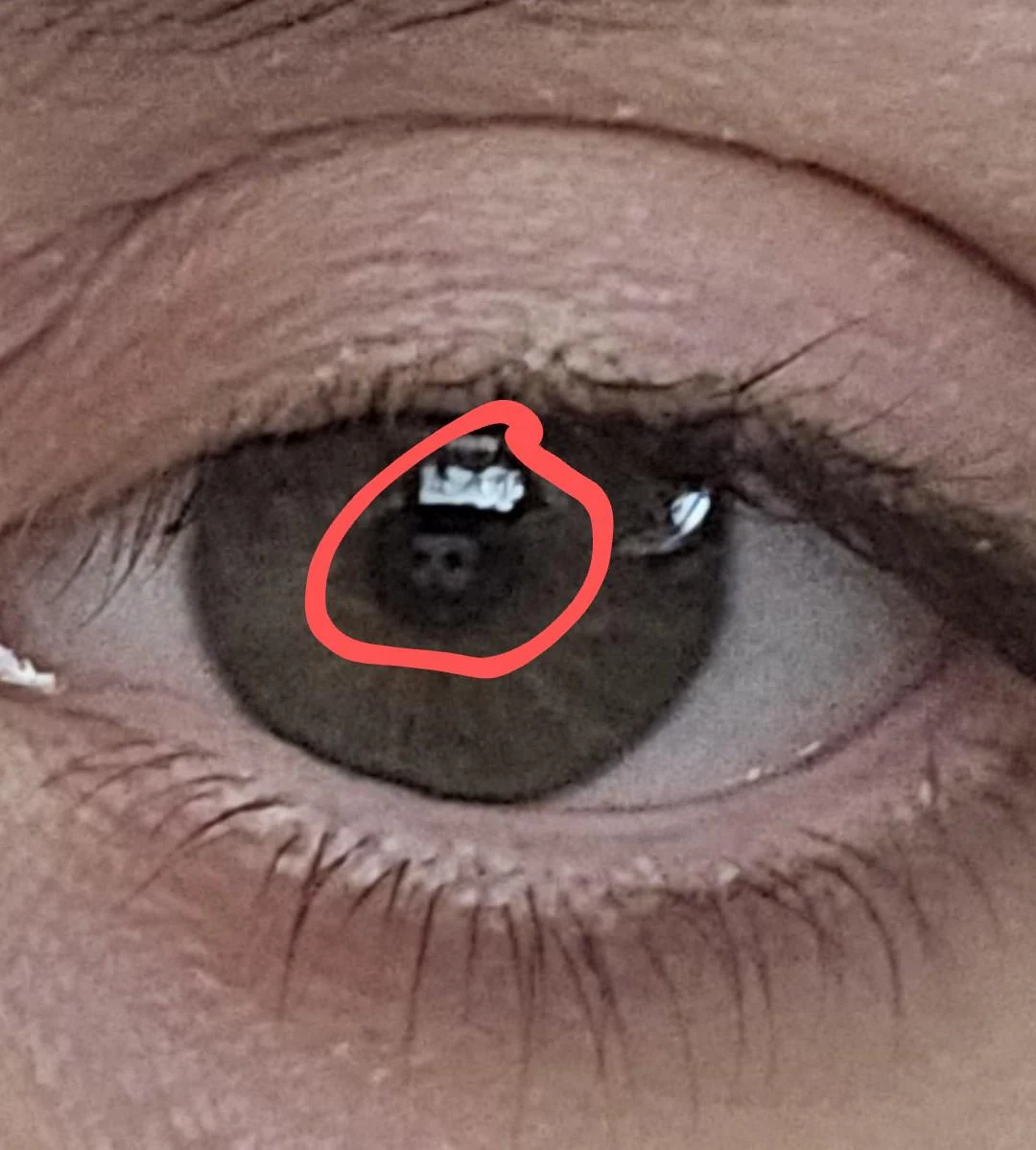 Jane Doe or Integrity? | Scrolller