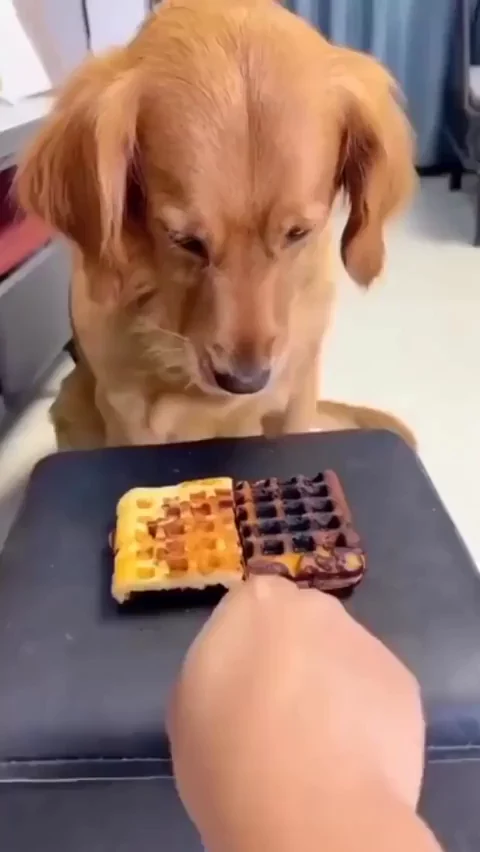 Good choice | Scrolller