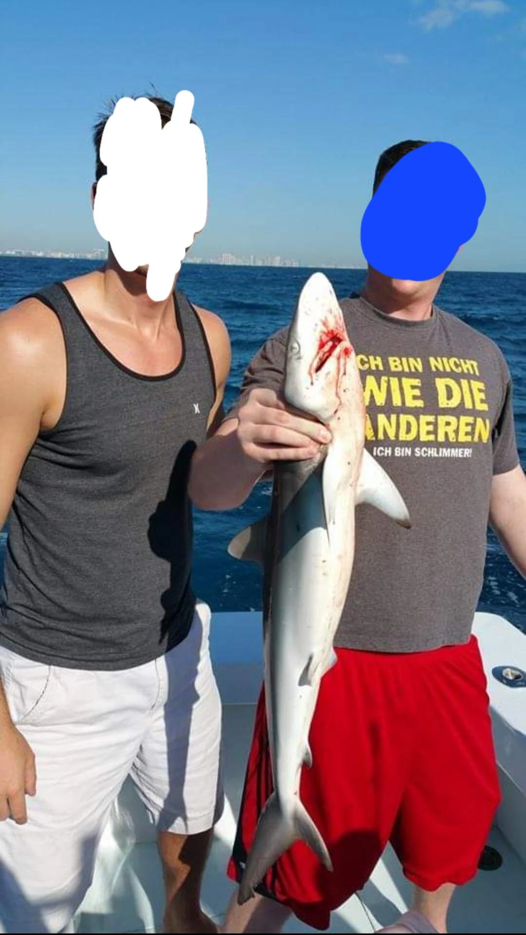 Fishing captain let me hold a shark | Scrolller