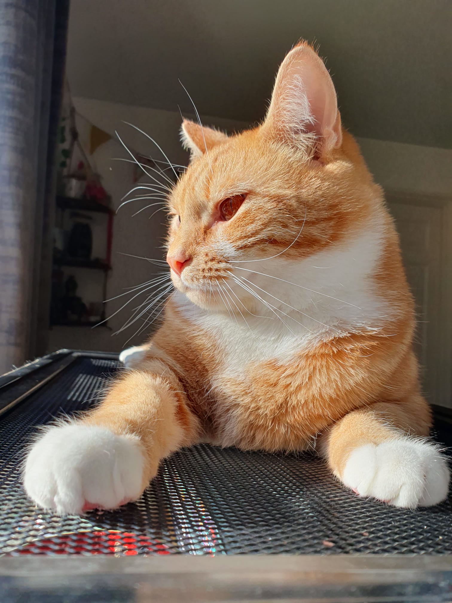 Basking in the sun. | Scrolller