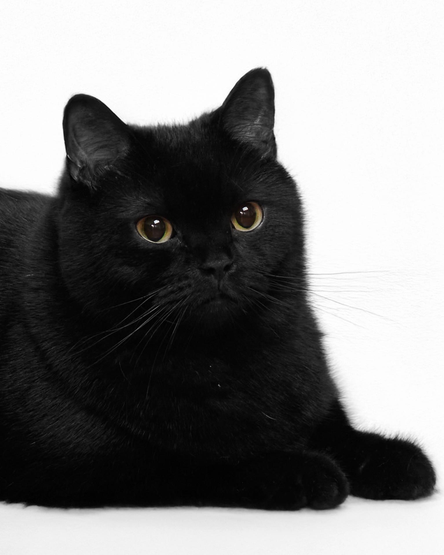 My supermodel void | Scrolller