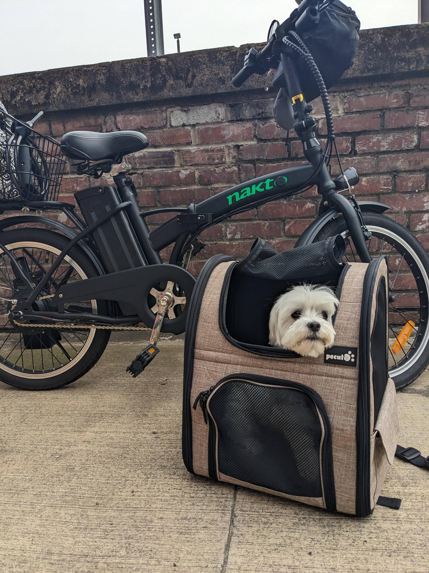 No time to explain get in the bag! | Scrolller