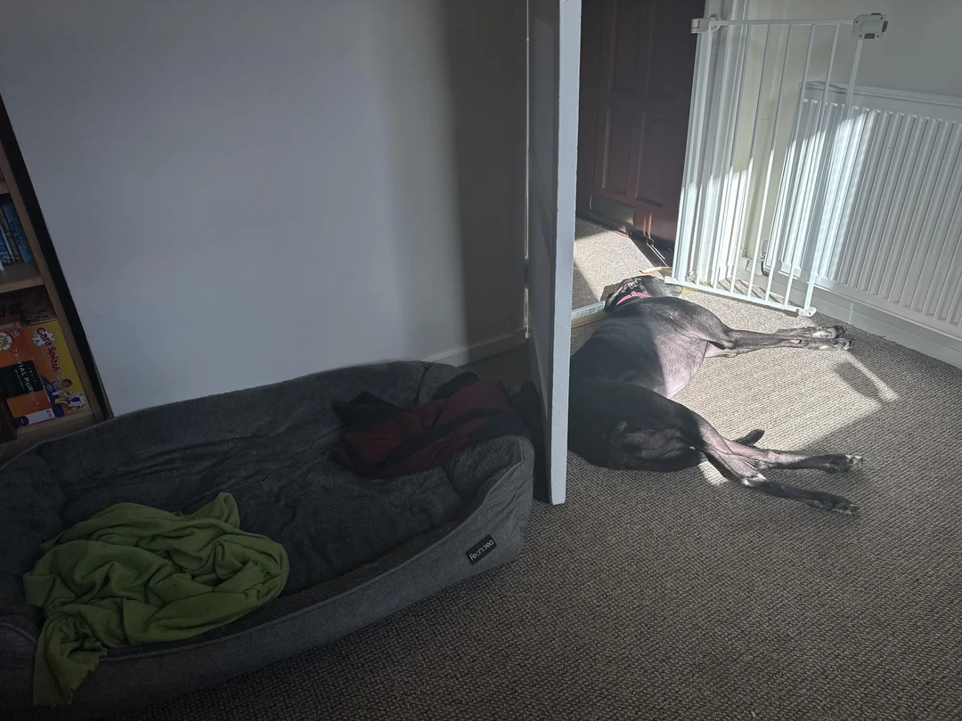 How’s this for a bed fail? | Scrolller