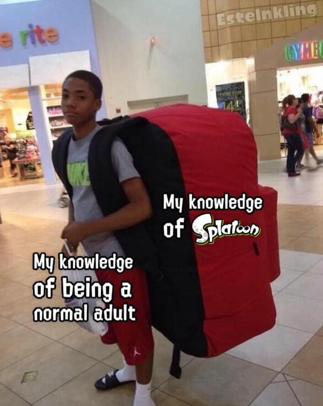 POV : I’m a Splatoon adult | Scrolller