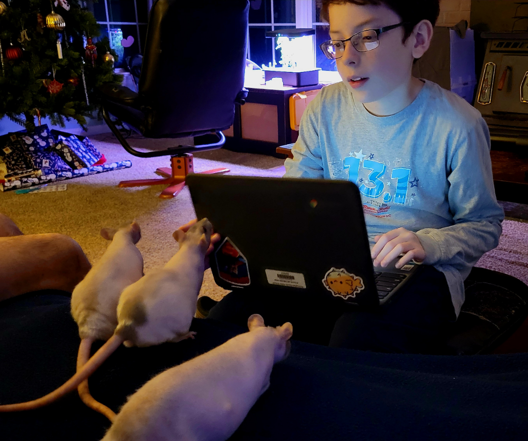 Homework | Scrolller