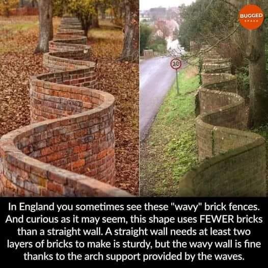 Curved Brick Walls | Scrolller