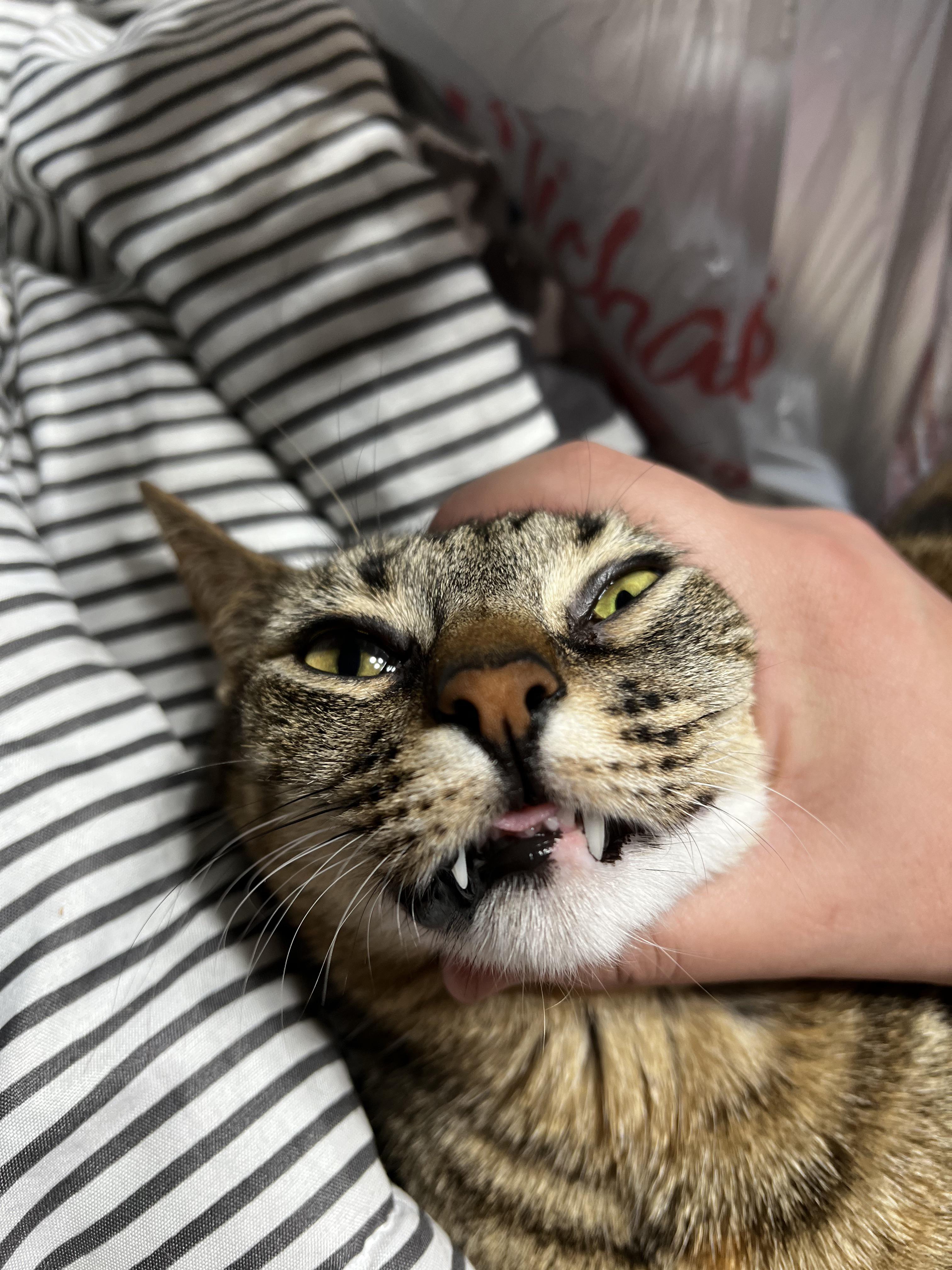 Stremtch after a michael’s trip | Scrolller