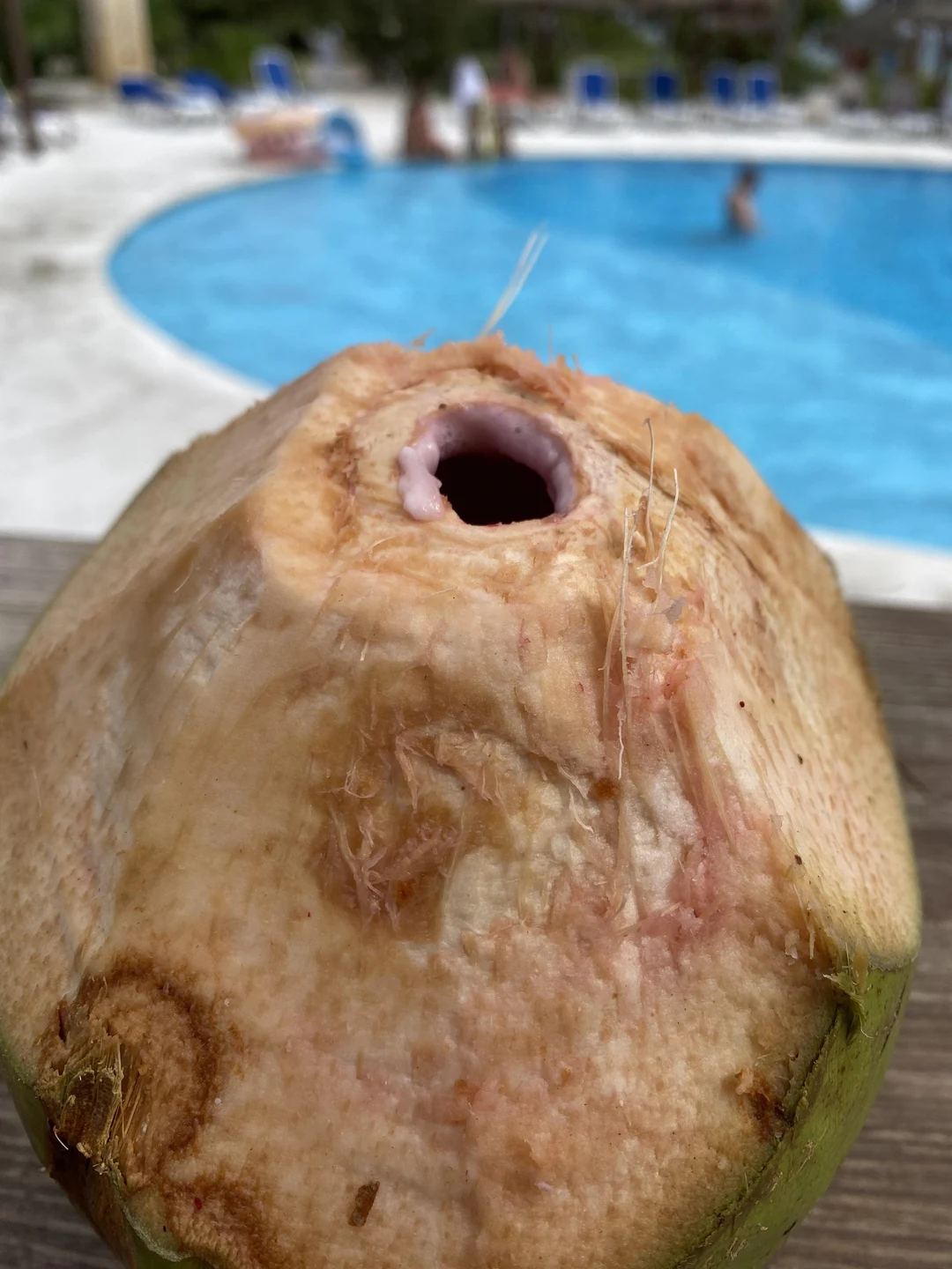 Don’t coconut in this | Scrolller