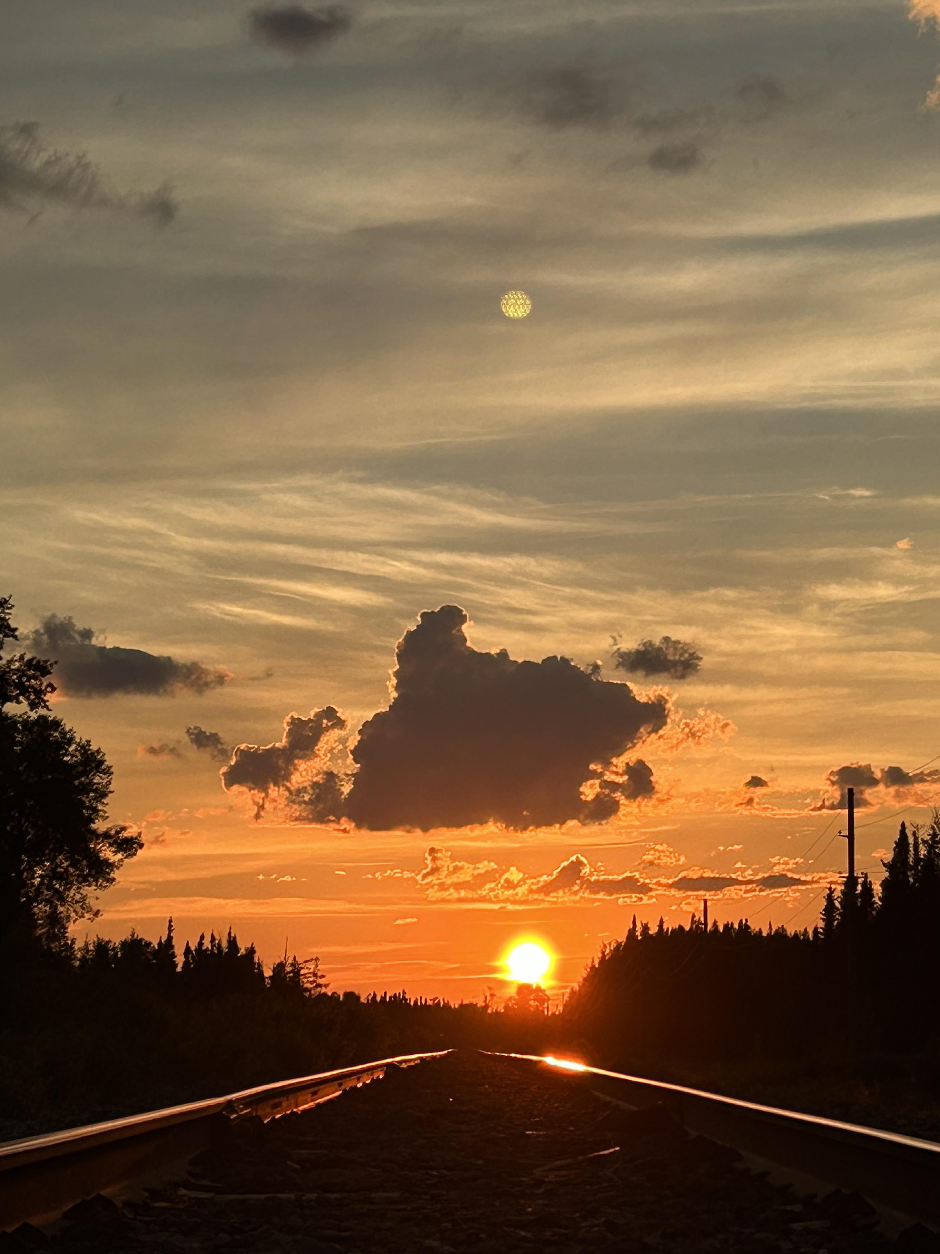 Can someone explain!!! | Scrolller