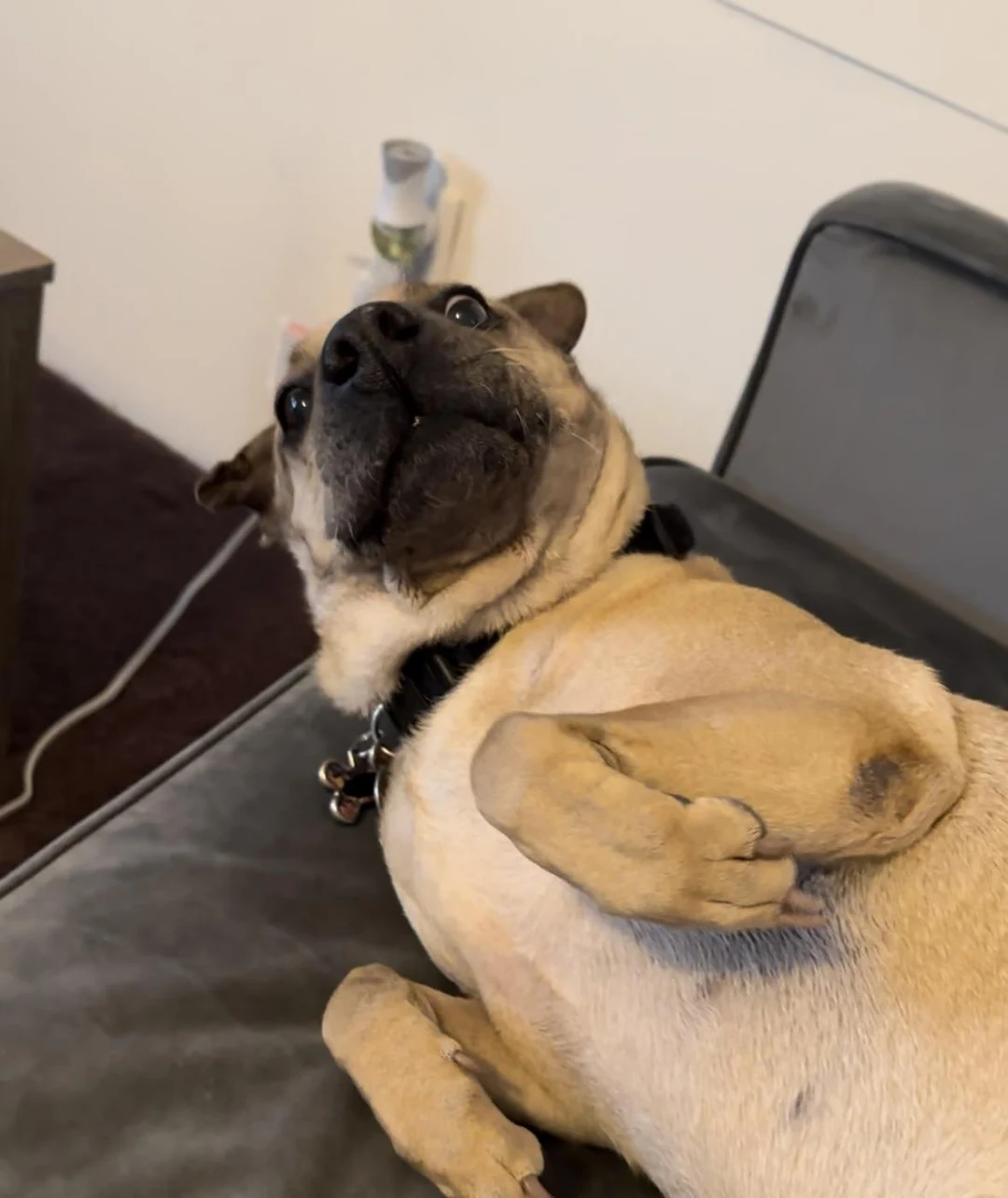 A picture that perfectly captures her personality. | Scrolller