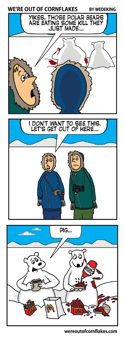 Polar bears are messy eaters | Scrolller