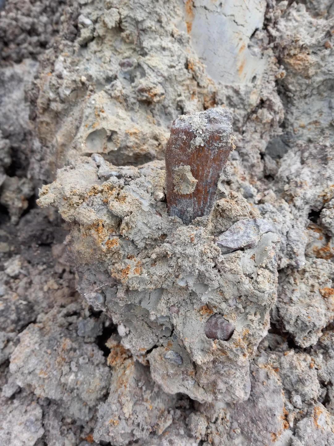 Rich Matrix | Scrolller