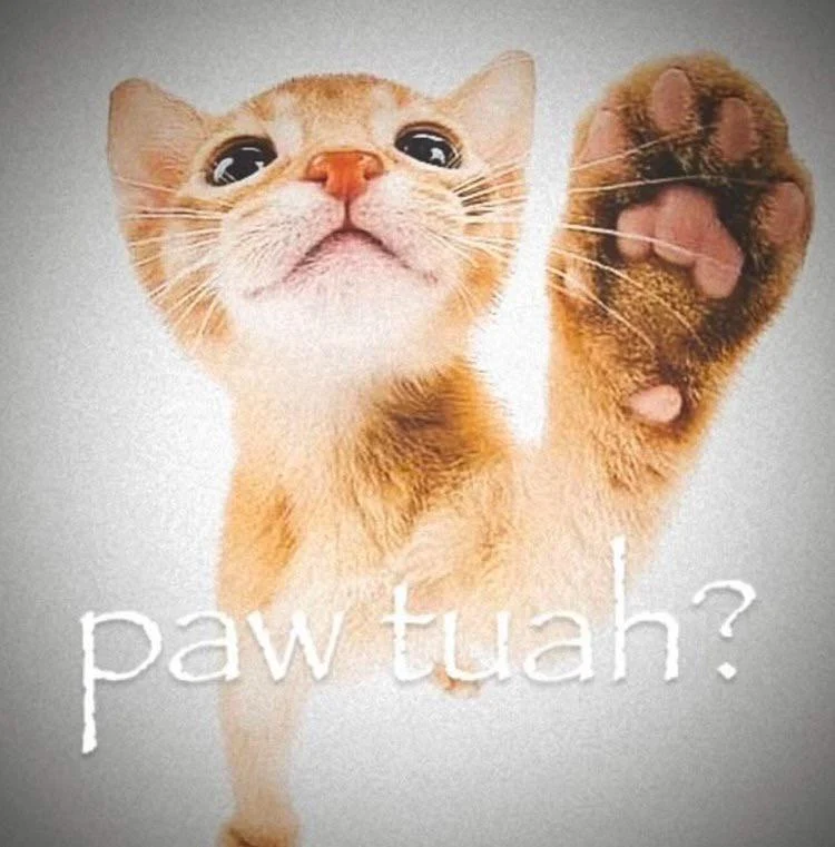 Paw tuah? | Scrolller