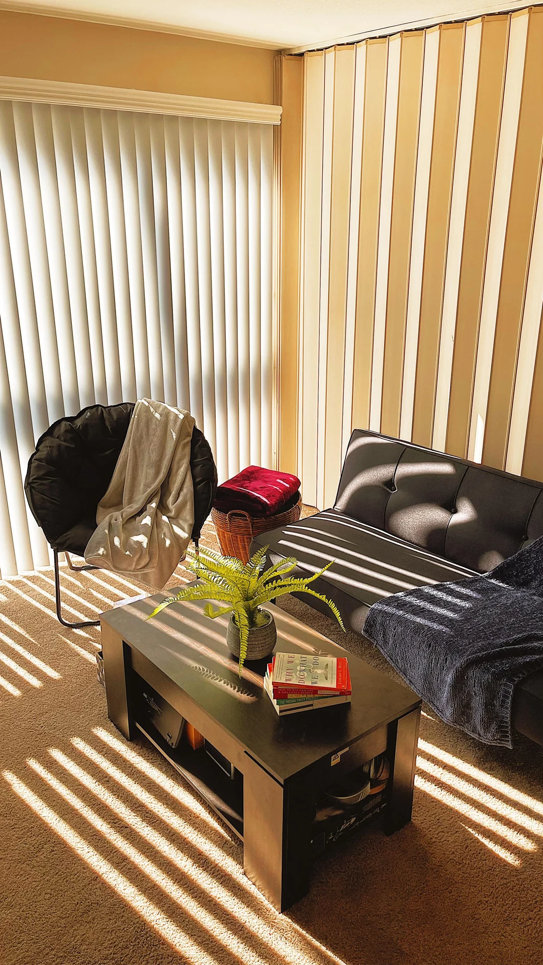 Just moved into my new studio | Scrolller