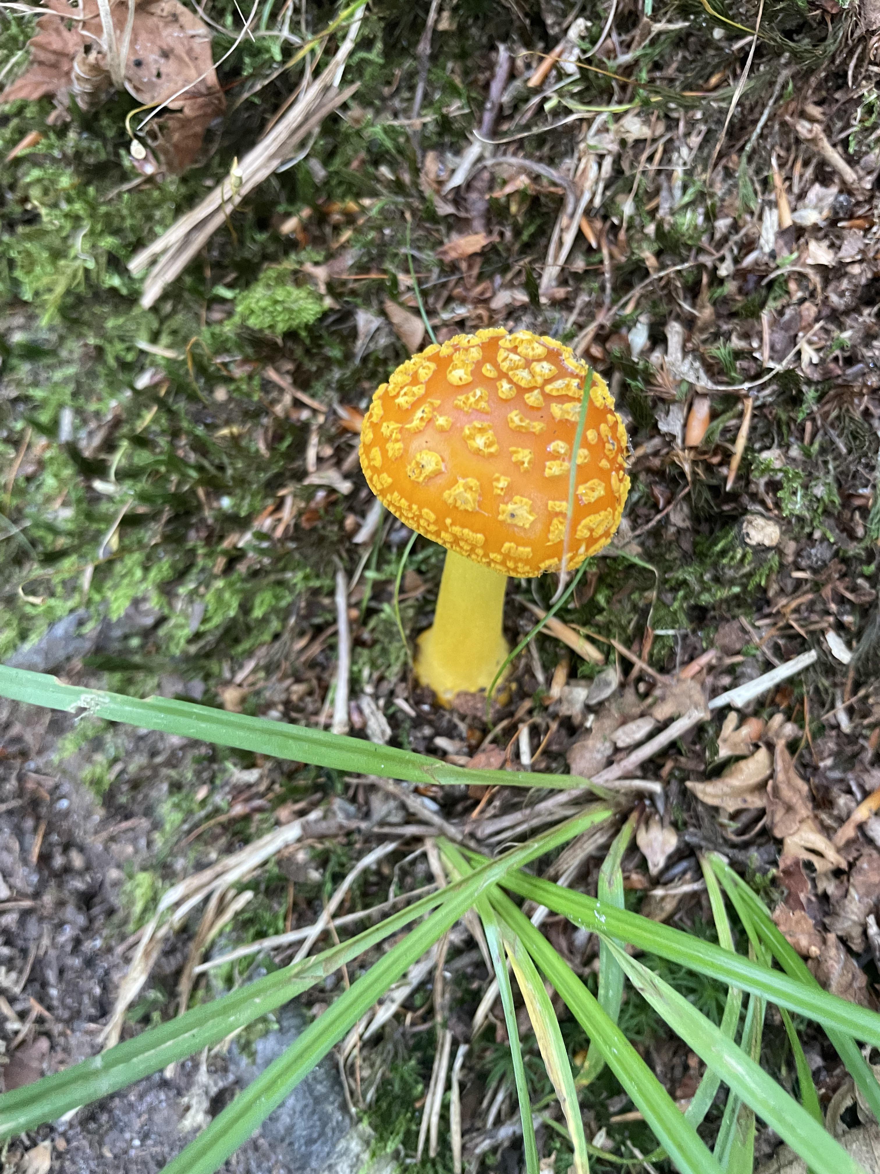 Killington vt | Scrolller