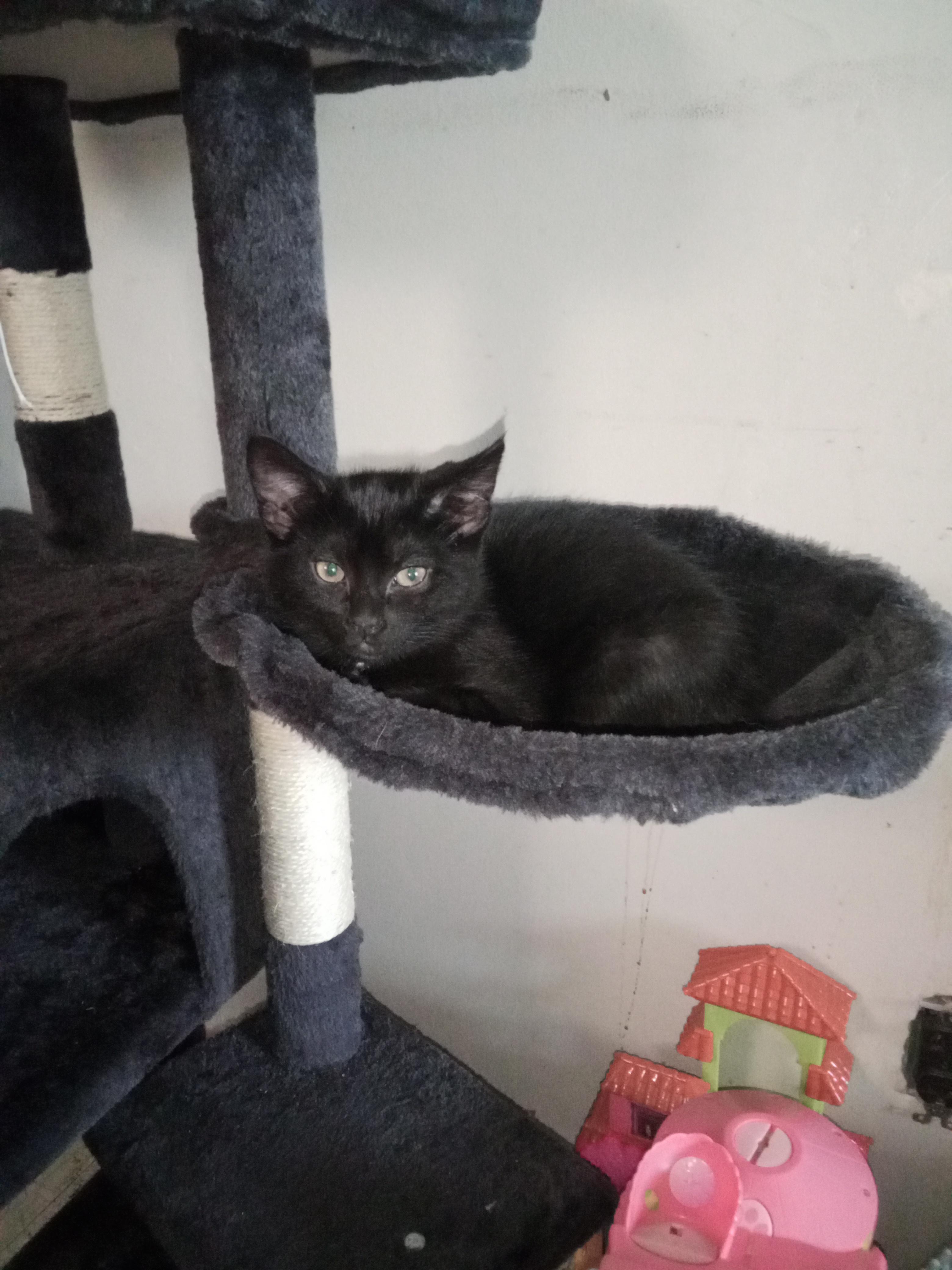 The void within the void. | Scrolller