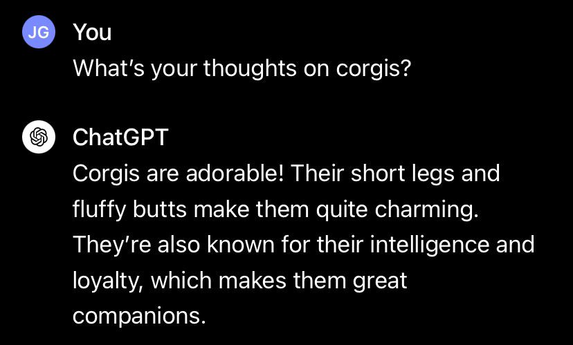 Chat GPT likes corgis 👍 | Scrolller