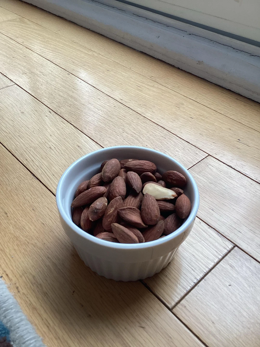Finally got some almonds for my spoiled boy Skittles today! | Scrolller