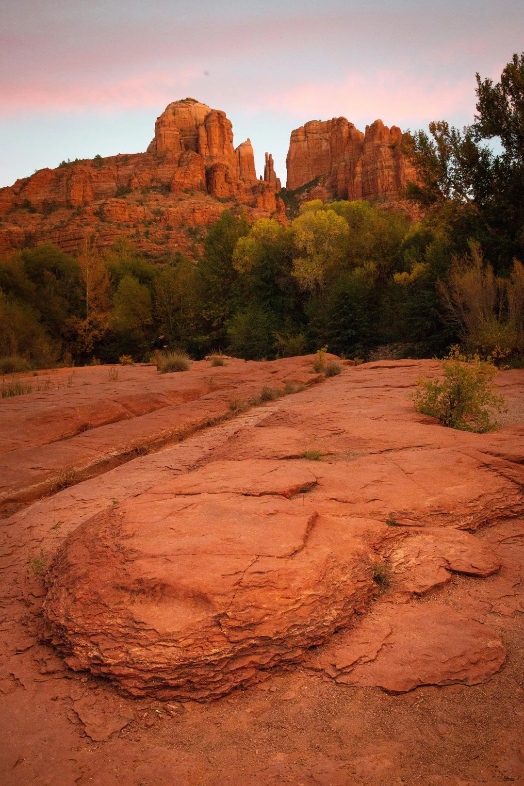 Cathedral Rock standing tall in Sedona,AZ [OC][3481x5222] IG: @zachdries | Scrolller