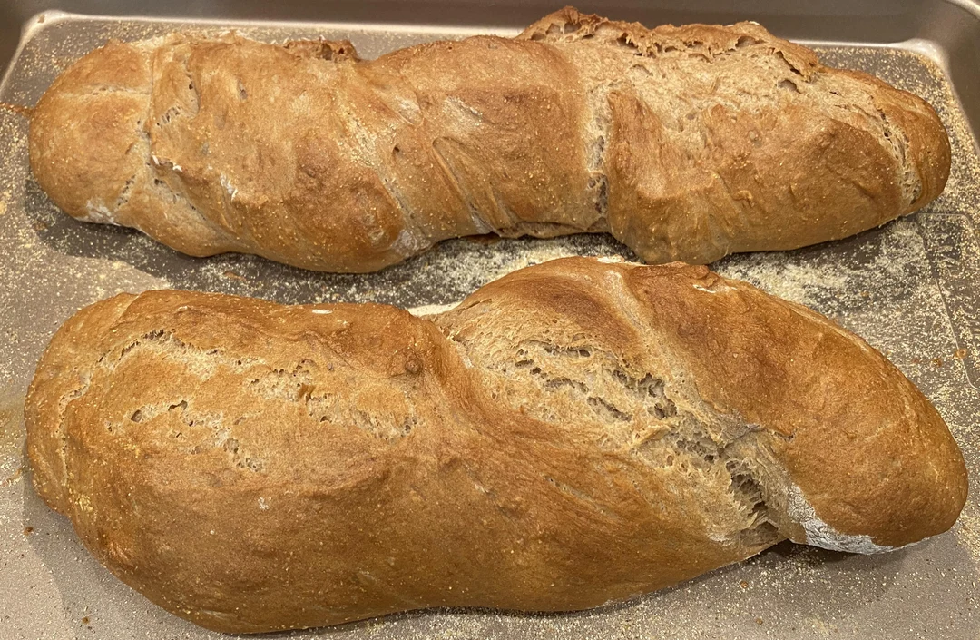 First time whole wheat | Scrolller