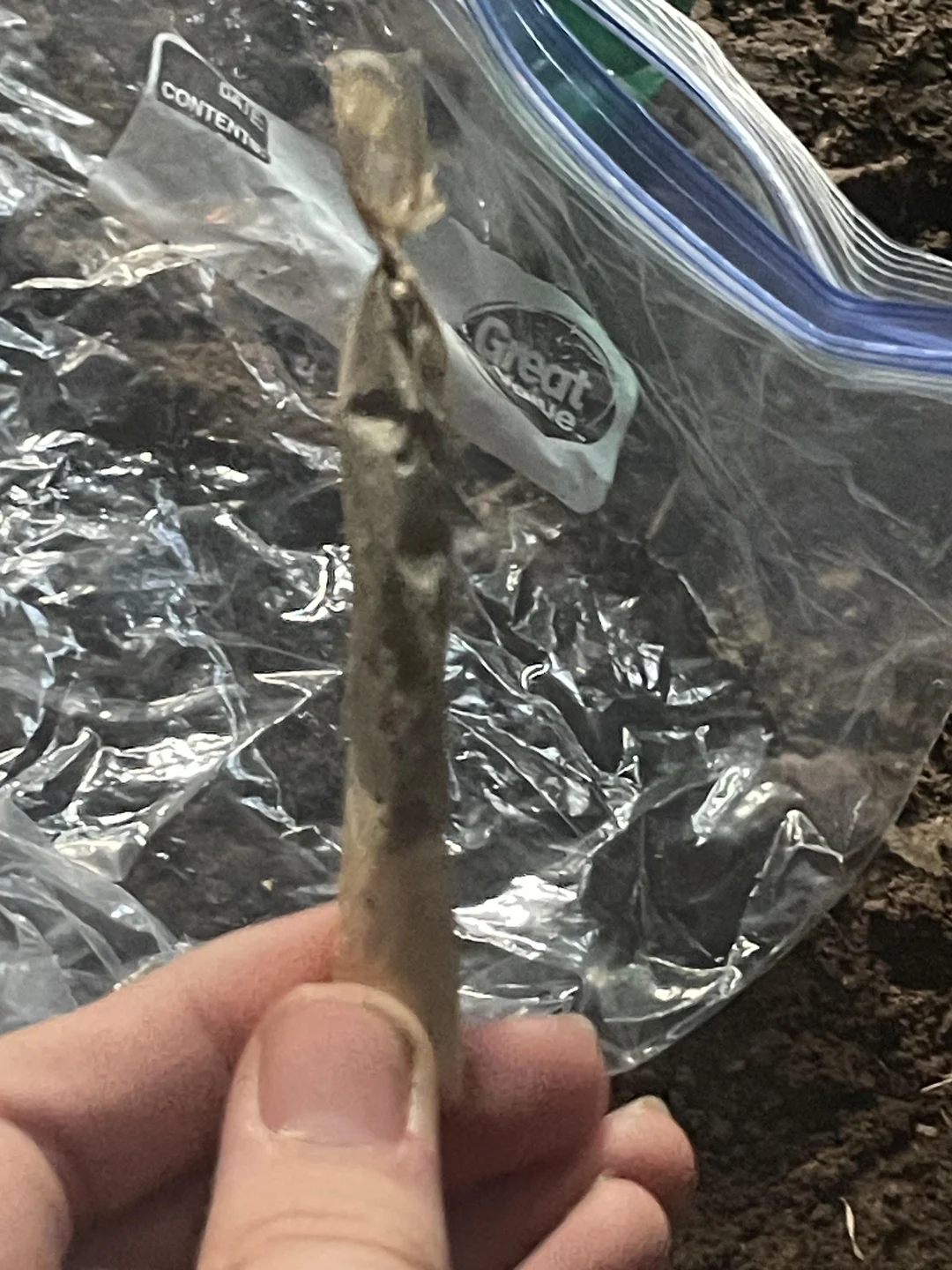My first joint, how's she look? | Scrolller