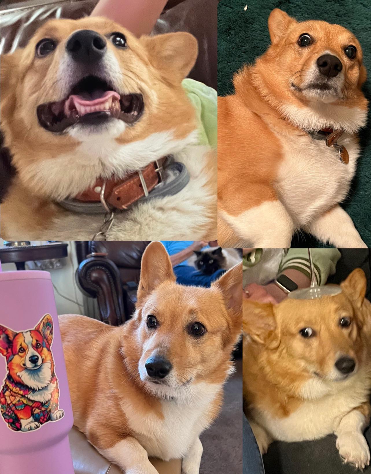 Never a dull moment | Scrolller