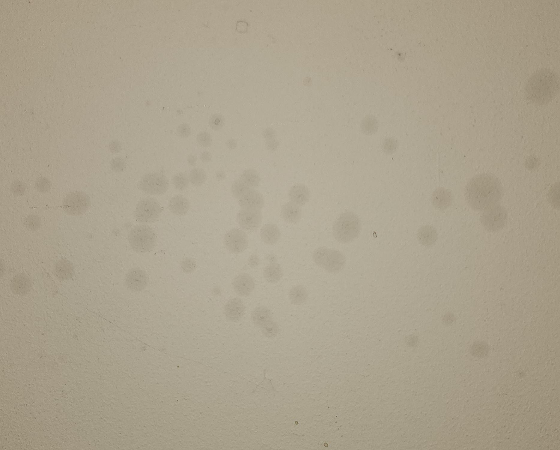 Weird Circles | Scrolller