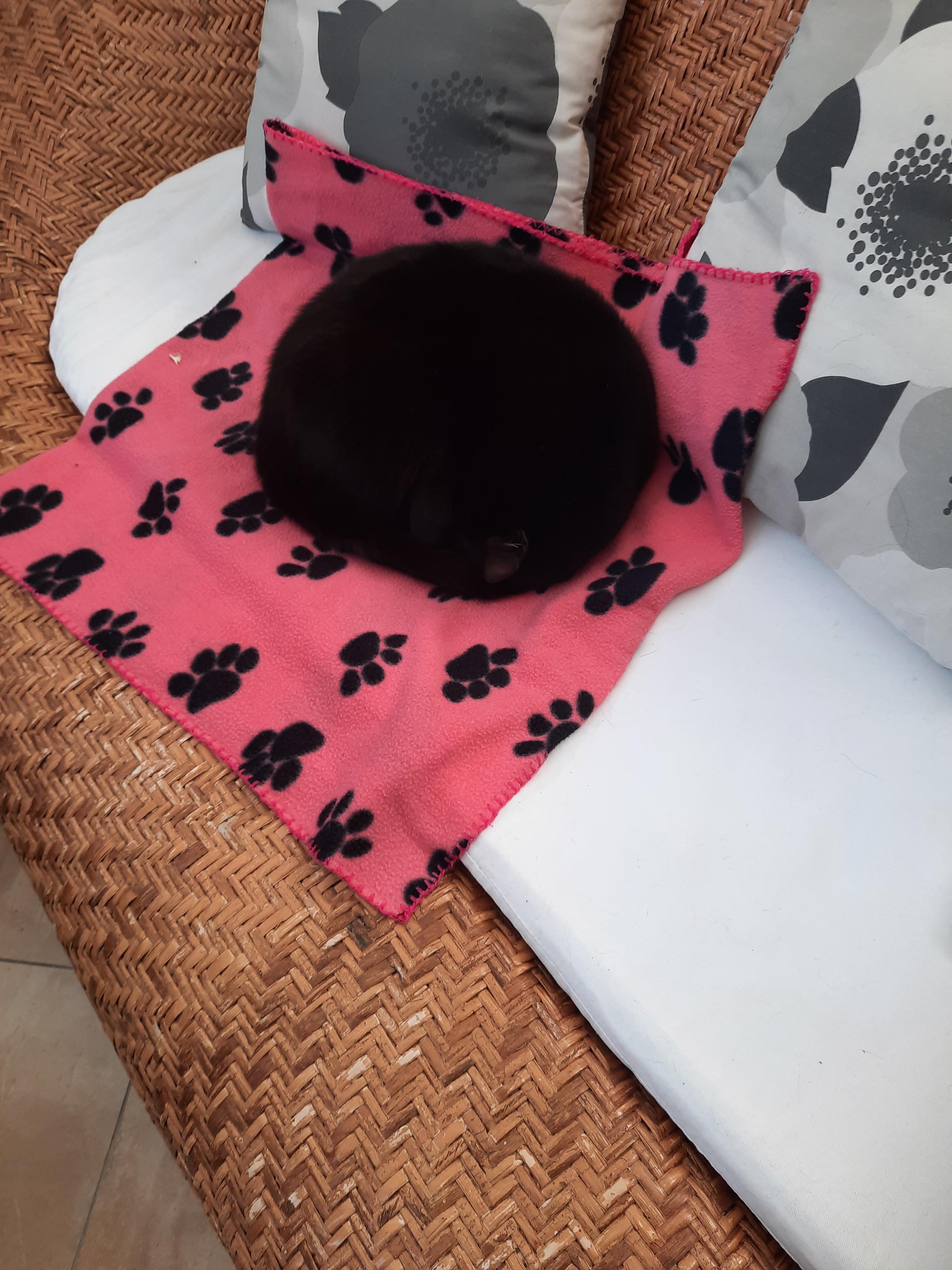 the void | Scrolller