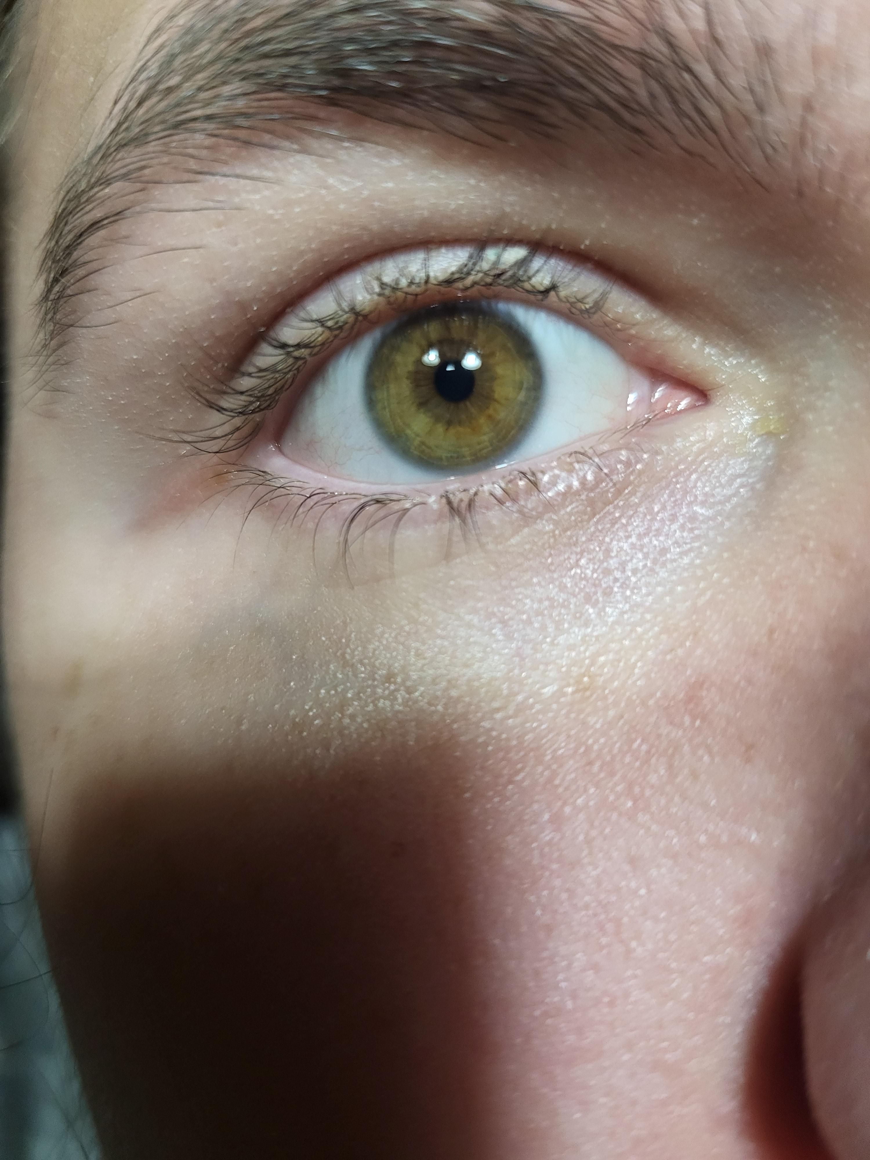 Maybe I'm crazy but the right half looks amber and the left half looks hazel | Scrolller