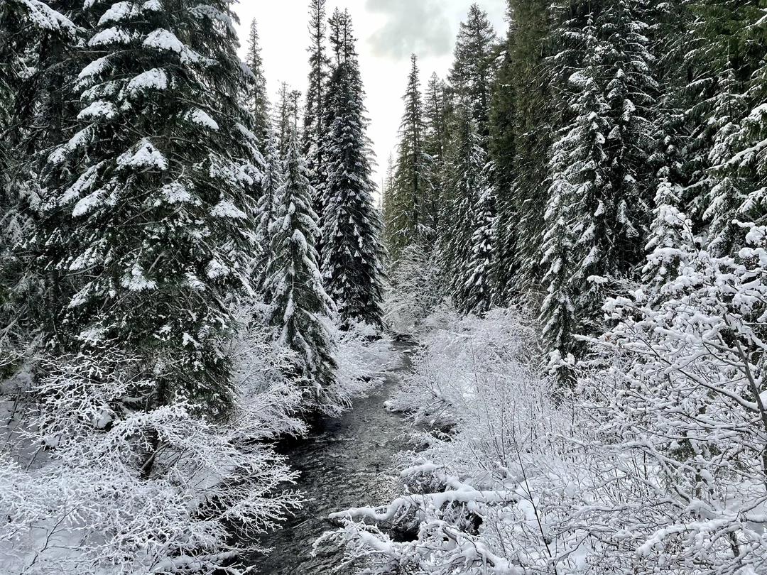 Salt Creek, Oregon [4032x3024] (OP: u/seangley in r/EarthPorn) | Scrolller