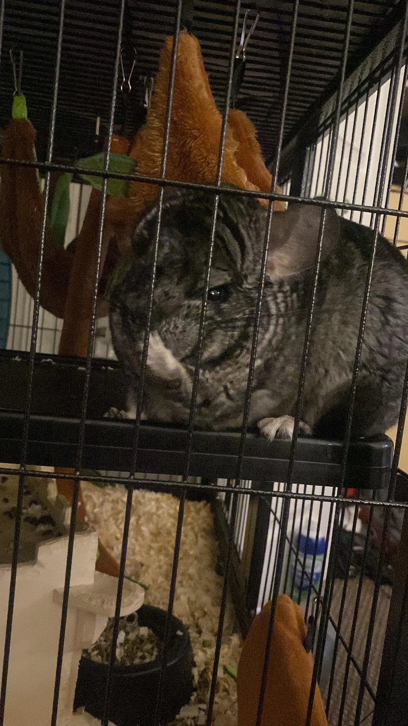 Caught him mid swipe | Scrolller