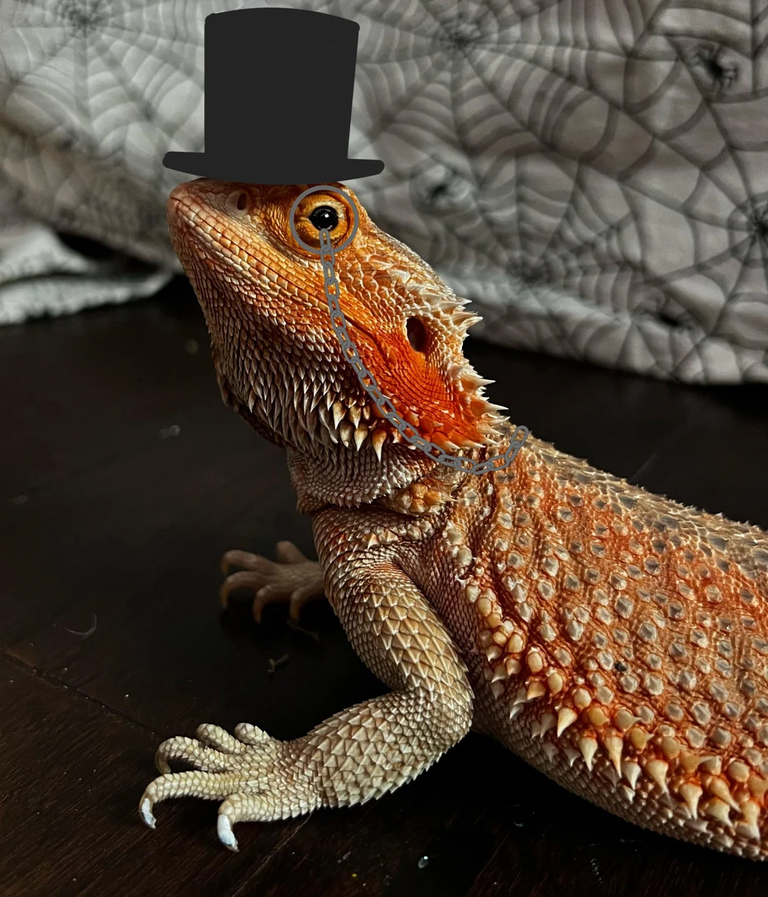 the most distinguished lady | Scrolller