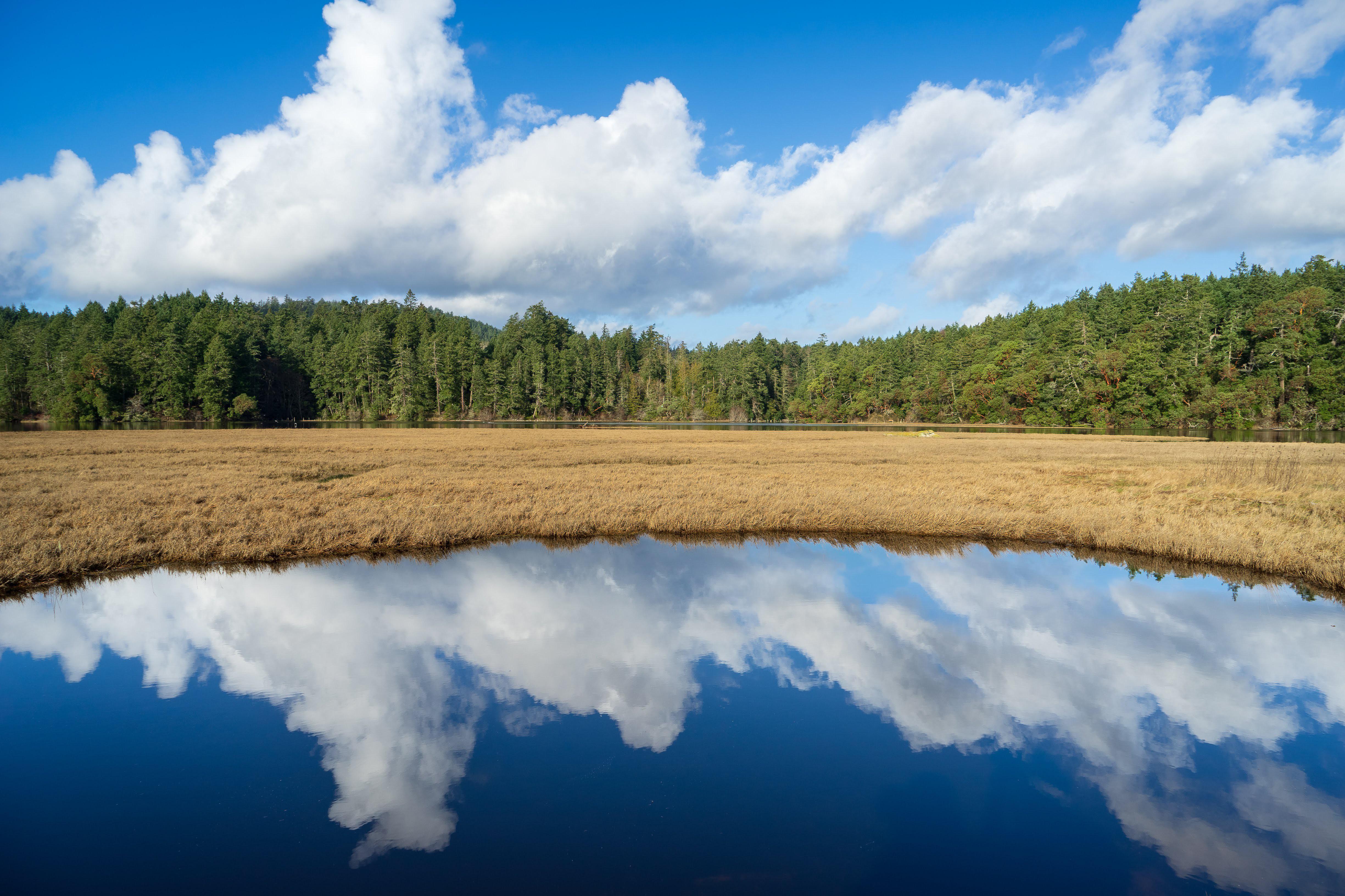 Whitty’s lagoon, Vancouver Island. | Scrolller