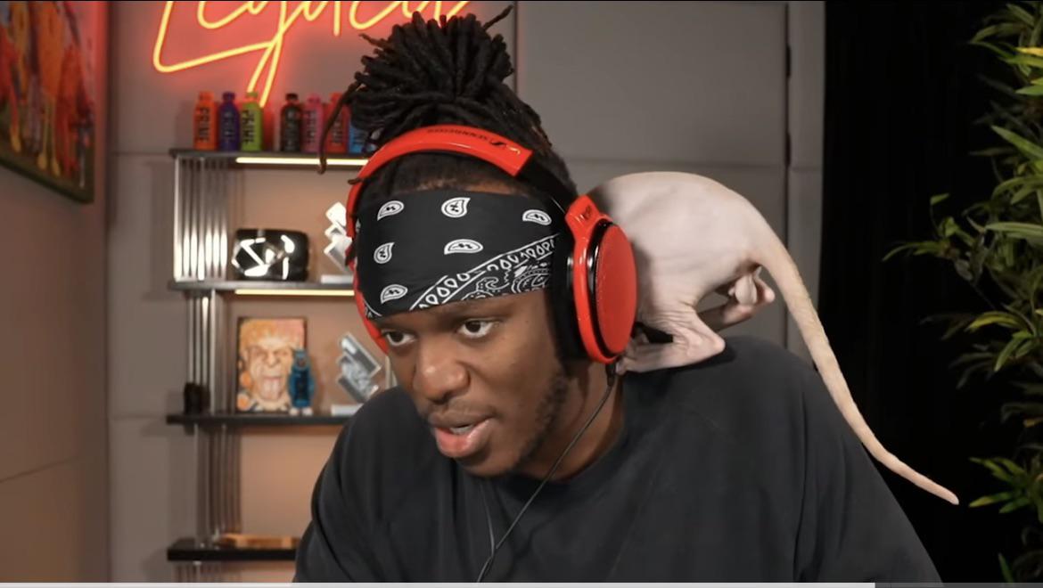 Boo’s packing | Scrolller