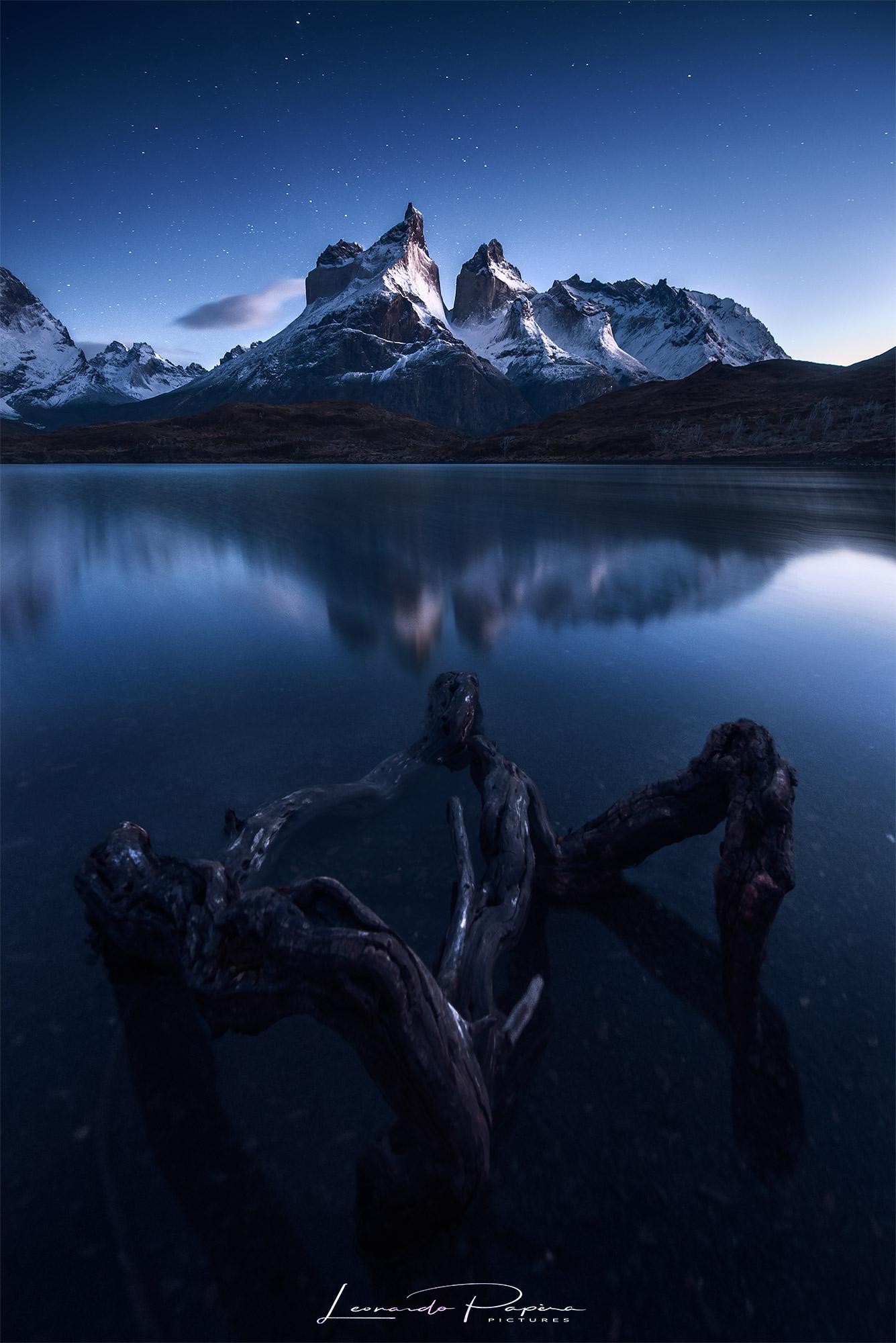 "Darkness Creatures" [OC] (1335x2000px) | Scrolller