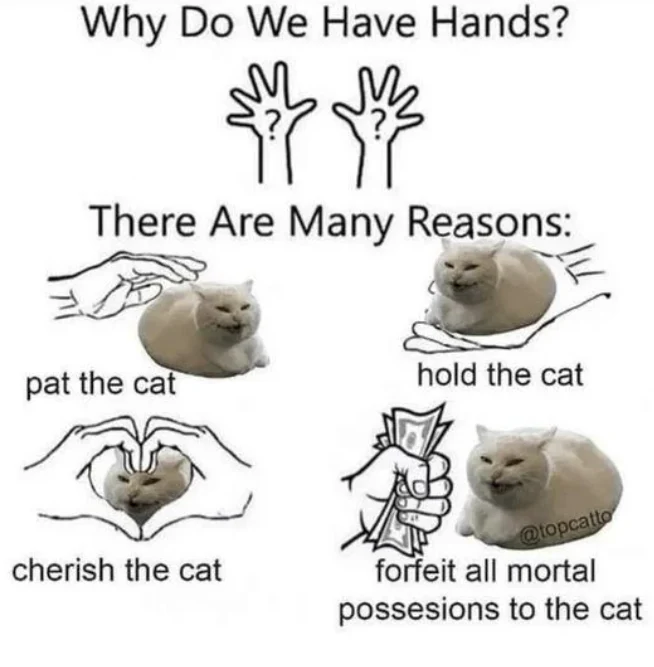 yup totally agreed | Scrolller