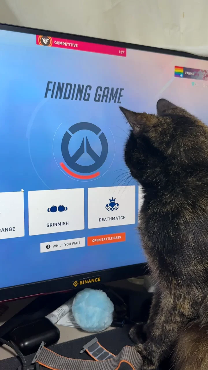 My cat enjoys playing during queue 🎾🐈‍⬛ | Scrolller