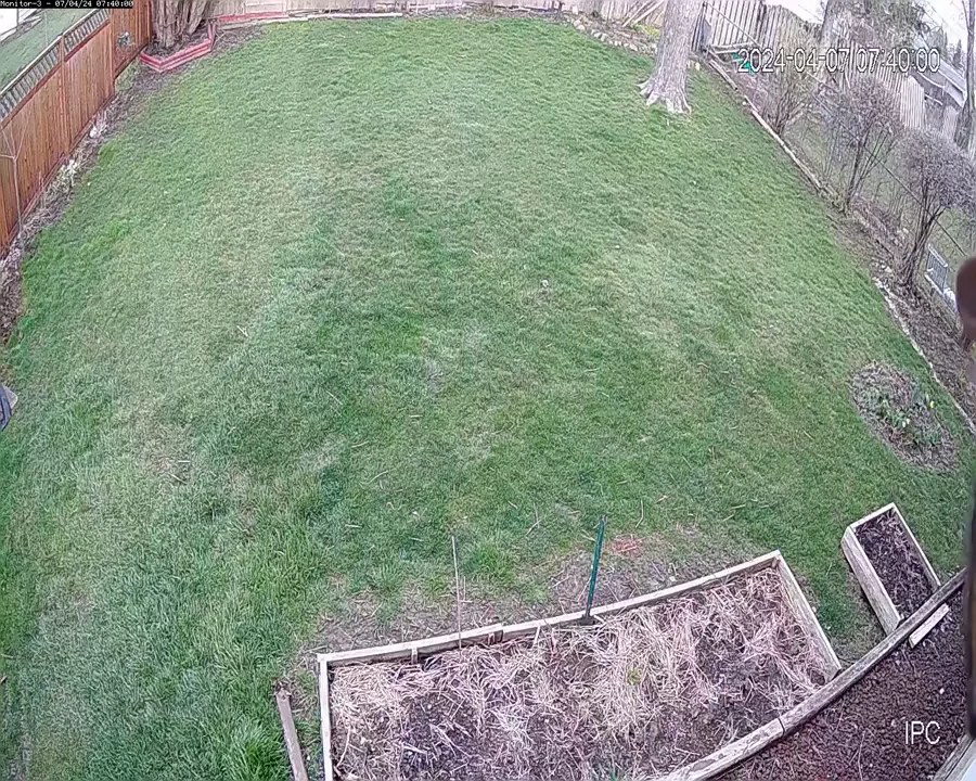 Sneaky Squirrel adjust home surveillance camera. | Scrolller